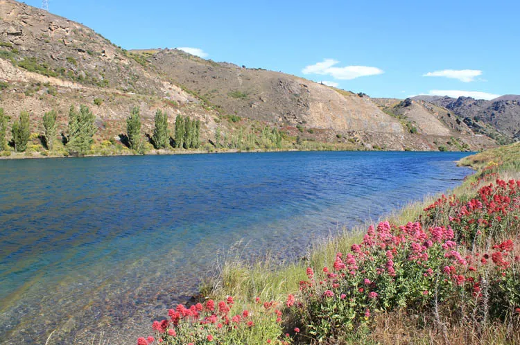 10 of the Best Things to Do in Cromwell, Central Otago - See the South ...