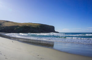 30 of the Best Things to Do in Dunedin - See the South Island NZ Travel ...