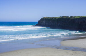 Tomahawk Beach, Dunedin - See the South Island NZ Travel Blog