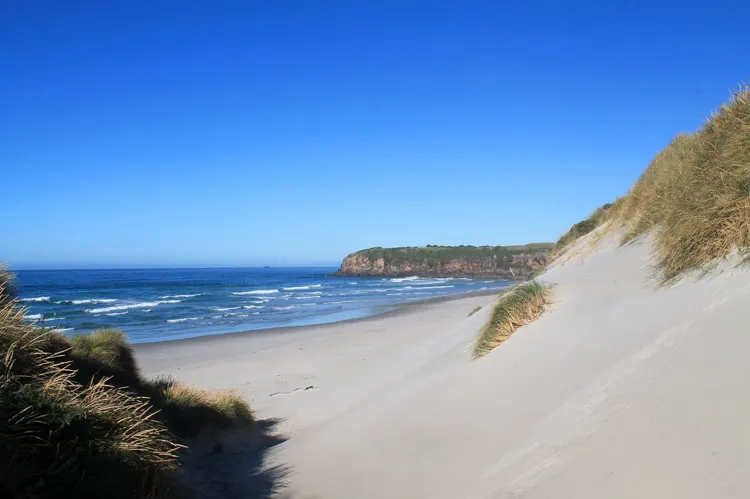 26 of the Best Beaches in Dunedin - See the South Island NZ Travel Blog
