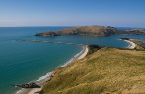 18 of the Best Walks in Dunedin (For All Fitness Levels) - See the ...