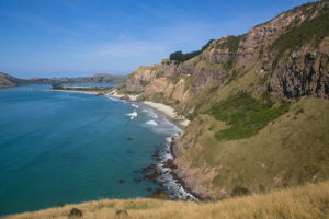 Hiking the Heyward Point Track, Dunedin - See the South Island NZ ...