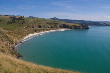 Hiking the Heyward Point Track, Dunedin - See the South Island NZ ...