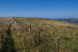 Hiking the Heyward Point Track, Dunedin - See the South Island NZ ...