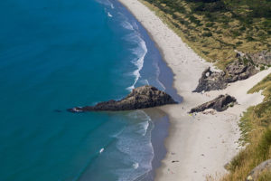 Hiking the Heyward Point Track, Dunedin - See the South Island NZ ...