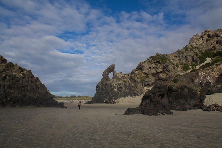 Aramoana Beach, Dunedin | See the South Island NZ Travel Blog