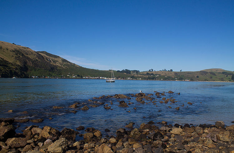 Aramoana Beach, Dunedin - See the South Island NZ Travel Blog