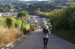 18 of the Best Walks in Dunedin (For All Fitness Levels) - See the ...