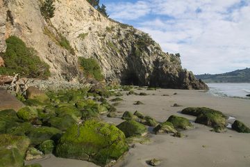 Doctors Point and the Arches, Dunedin - See the South Island NZ Travel Blog
