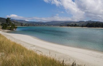26 of the Best Beaches in Dunedin - See the South Island NZ Travel Blog