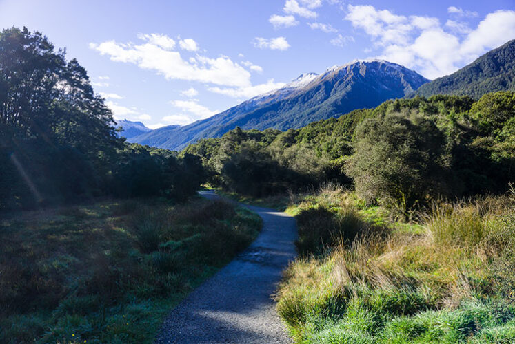 Blue Pools Track, Mount Aspiring National Park - See the South Island ...