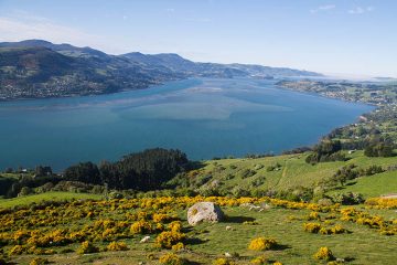 30 Stunning Viewpoints in Dunedin - See the South Island NZ Travel Blog