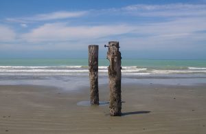 Timaru Travel Guide: Tips for a Fun Trip to Timaru - See the South ...