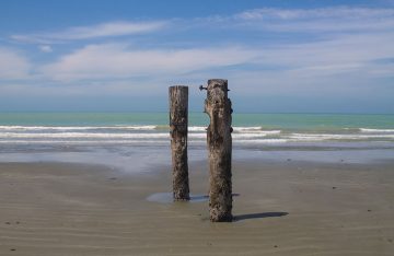 14 of the Best Things to Do in Timaru - See the South Island NZ Travel Blog
