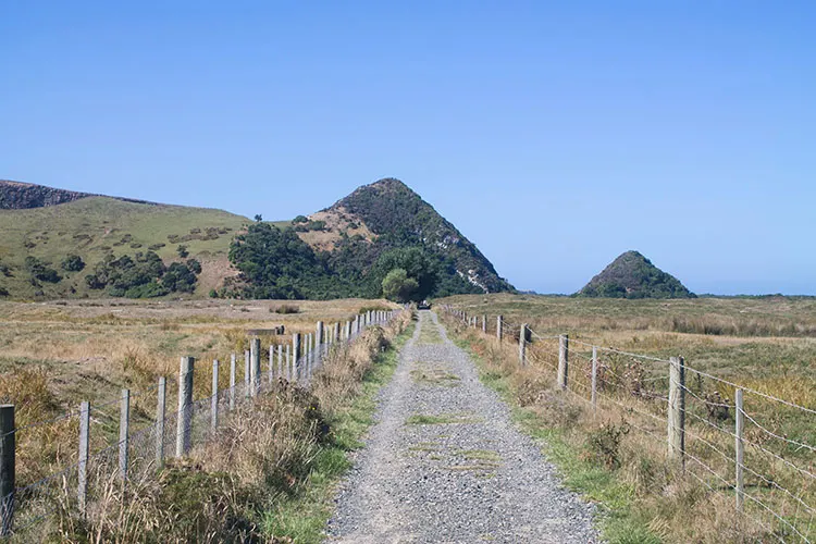 Hiking to Victory Beach and the Pyramids, Dunedin - See the South ...