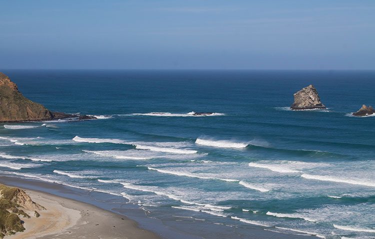 Sandfly Bay, Dunedin | See the South Island NZ Travel Blog