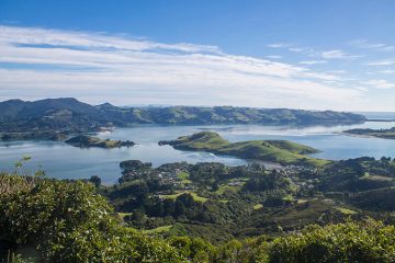 18 of the Best Walks in Dunedin (For All Fitness Levels) - See the ...