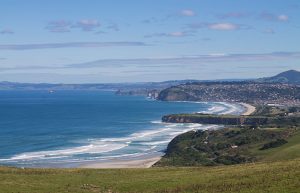 18 of the Best Walks in Dunedin (For All Fitness Levels) - See the ...