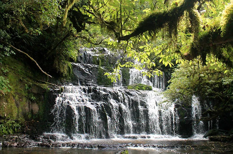Purakaunui Bay, The Catlins - See the South Island NZ Travel Blog