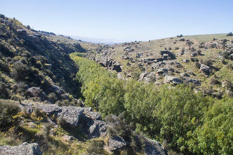 Hiking the Conroys Dam Track, Central Otago - See the South Island NZ ...