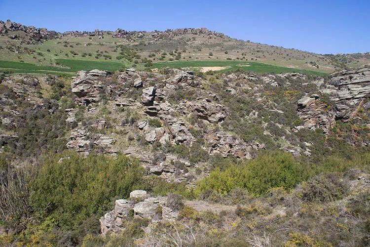 Hiking the Conroys Dam Track, Central Otago - See the South Island NZ ...