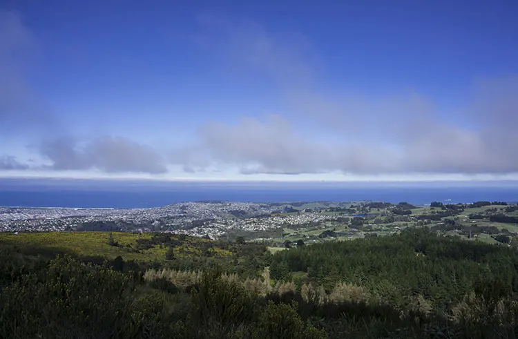 Hiking the Pineapple Track / Flagstaff Nature Reserve, Dunedin - See ...