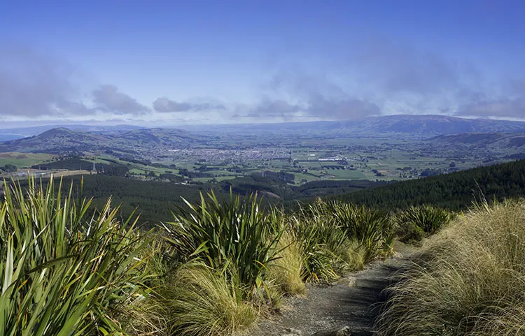 Hiking the Pineapple Track / Flagstaff Nature Reserve, Dunedin - See ...