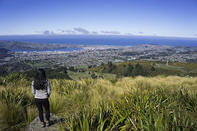 Hiking the Pineapple Track / Flagstaff Nature Reserve, Dunedin - See ...