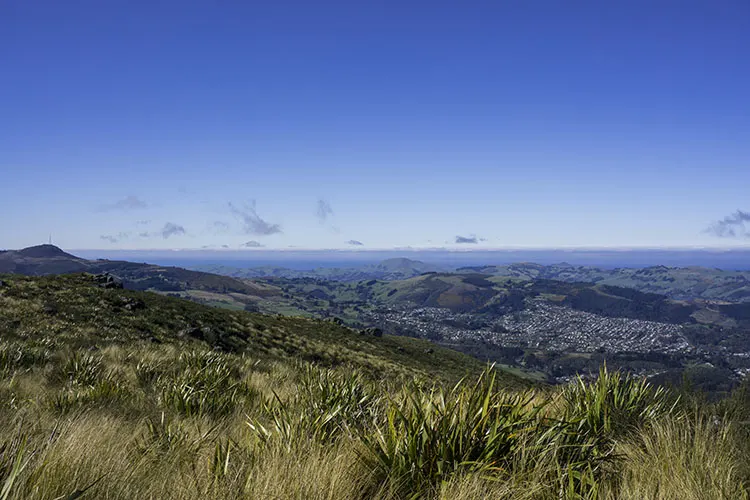 Hiking the Pineapple Track / Flagstaff Nature Reserve, Dunedin - See ...