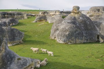 The Elephant Rocks, Waitaki Valley - See the South Island NZ Travel Blog