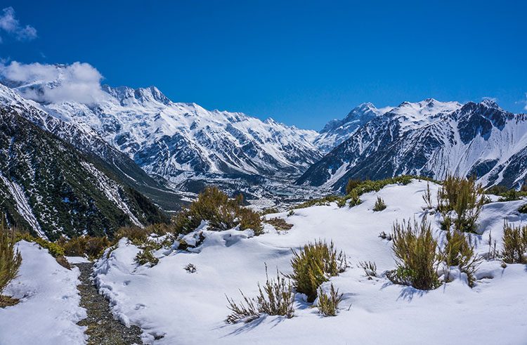 Hiking the Red Tarns Track, Mount Cook National Park | See the South ...