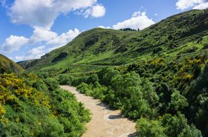 The Taieri Gorge Railway, Dunedin - See the South Island NZ Travel Blog