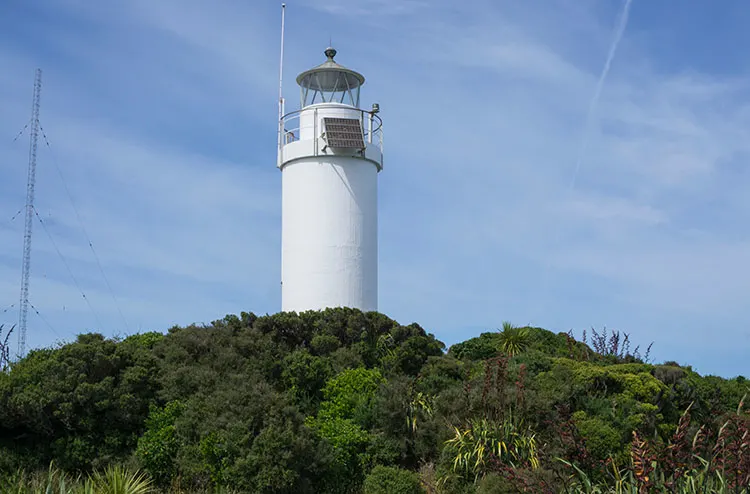 Hiking the Cape Foulwind Walkway, West Coast - See the South Island NZ ...