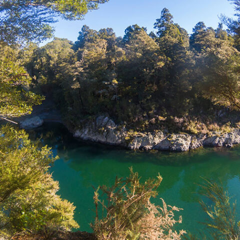 Marlborough Sounds Archives - See the South Island NZ Travel Blog