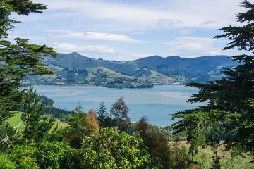 30 Stunning Viewpoints in Dunedin - See the South Island NZ Travel Blog