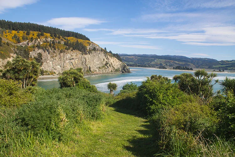 Purakaunui Beach, Dunedin - See the South Island NZ Travel Blog
