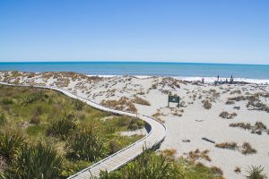 7 of the Best Things to Do in Haast, West Coast - See the South Island ...