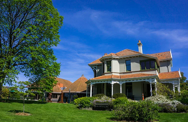 14 of the Best Things to Do in Timaru - See the South Island NZ Travel Blog