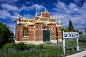 14 of the Best Things to Do in Timaru - See the South Island NZ Travel Blog
