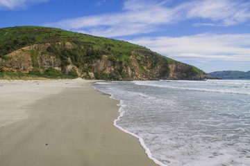 26 of the Best Beaches in Dunedin - See the South Island NZ Travel Blog