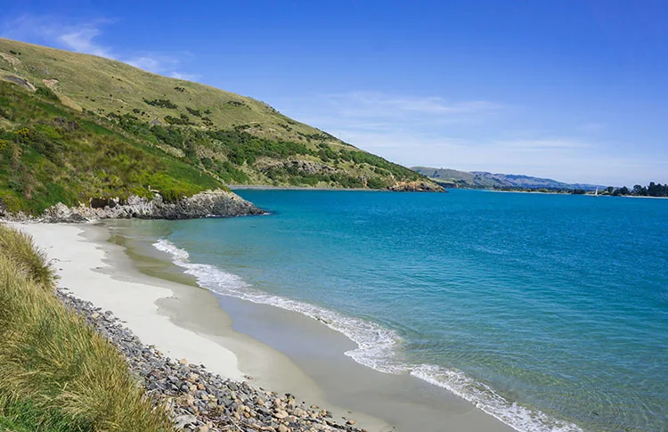 26 of the Best Beaches in Dunedin - See the South Island NZ Travel Blog