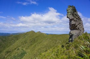 18 of the Best Walks in Dunedin (For All Fitness Levels) - See the ...