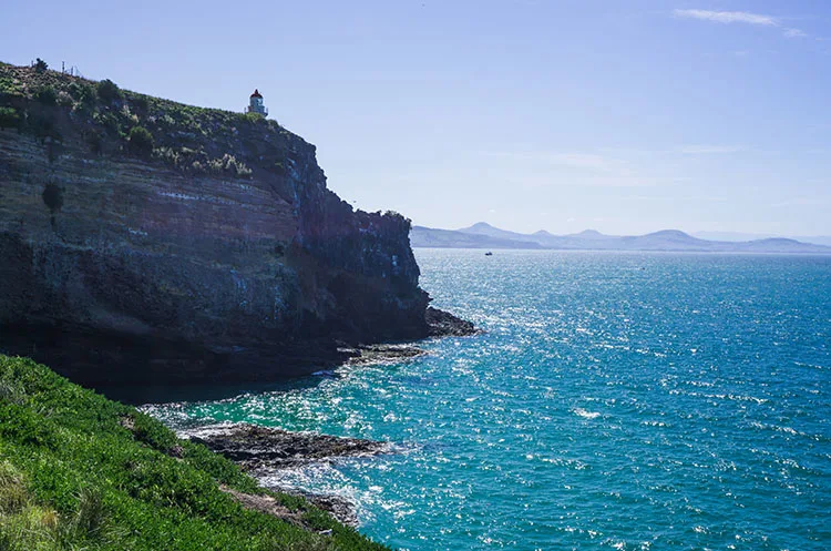 Taiaroa Head and Harrington Point, Dunedin - See the South Island NZ ...