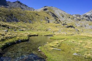 Lake Alta Track, Queenstown - See the South Island NZ Travel Blog