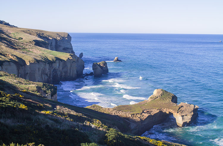 30 Stunning Viewpoints in Dunedin | See the South Island NZ Travel Blog