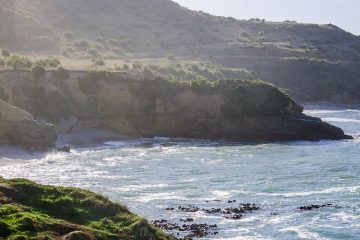 Searching for Seals at Shag Point, Coastal Otago - See the South Island ...
