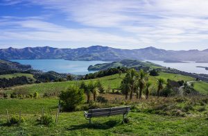 15 of the Best Things to Do in Akaroa - See the South Island NZ Travel Blog