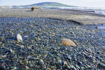 Gemstone Beach, Southland - See the South Island NZ Travel Blog