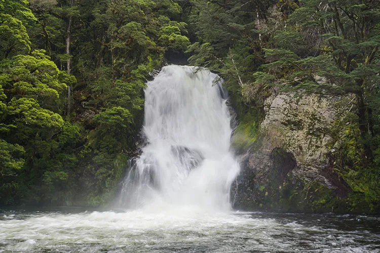11 of the Best Waterfalls in Fiordland National Park - See the South ...