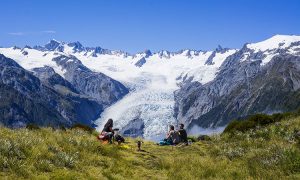 Hiking the Alex Knob Track, Franz Josef - See the South Island NZ ...